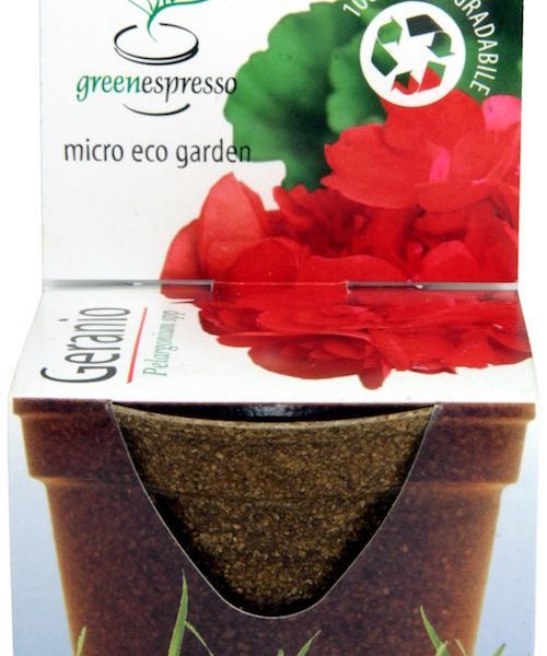 Green Espresso - Display da Banco | iGreenGadgets.it